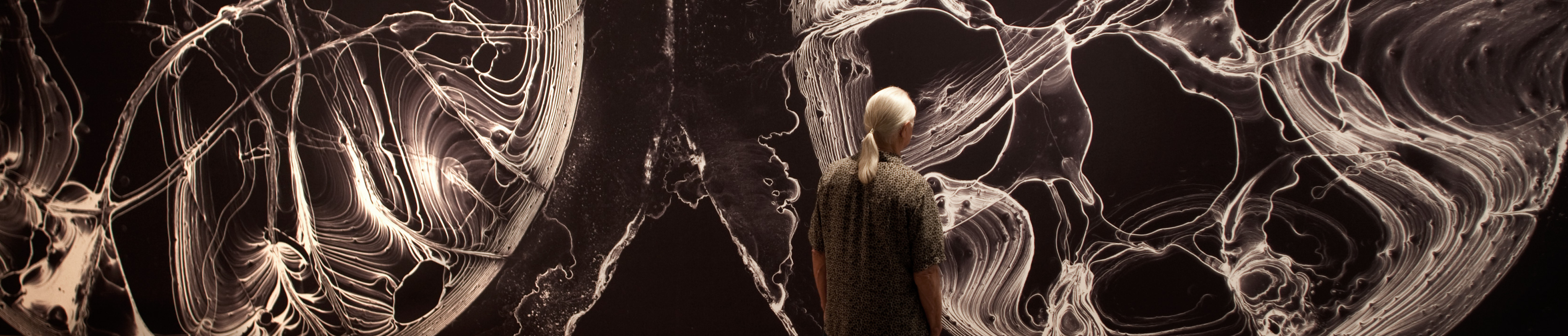 SEG graphics find more appeal with architectural clients - Fabric ...